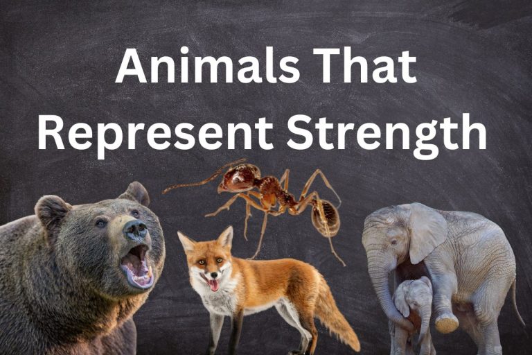 Animals That Represent Strength - SymbolScholar