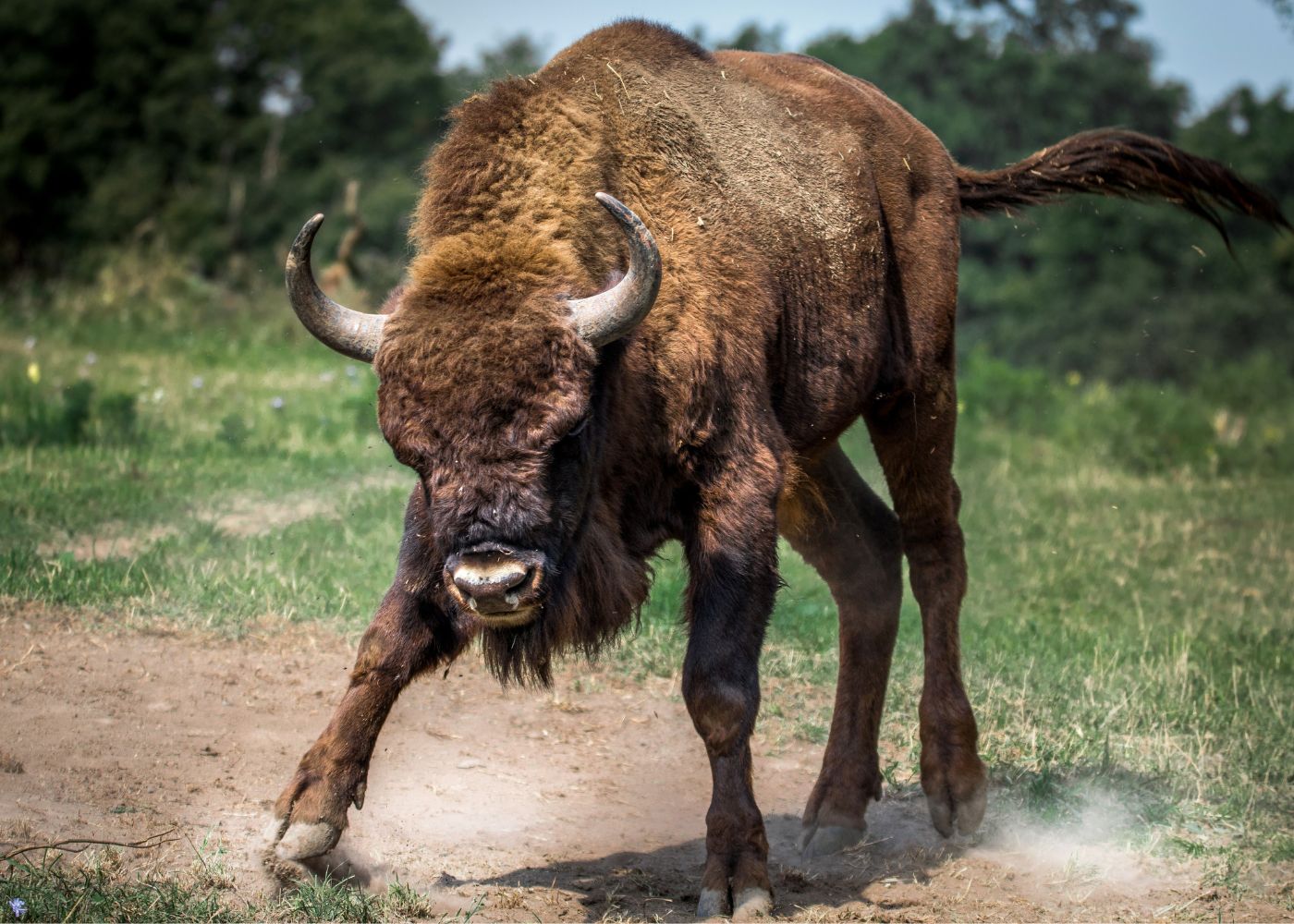 Discover The 7 Deadly Sins Symbols - SymbolScholar