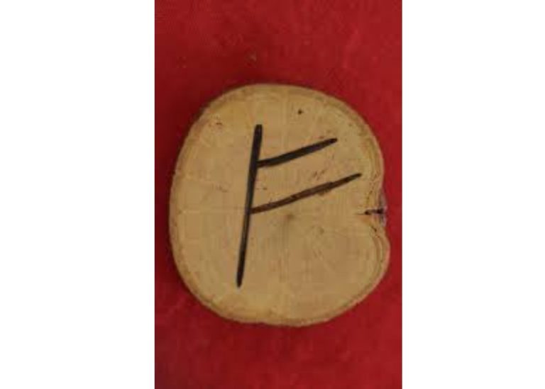 What Are Freya Goddess Symbols? - SymbolScholar