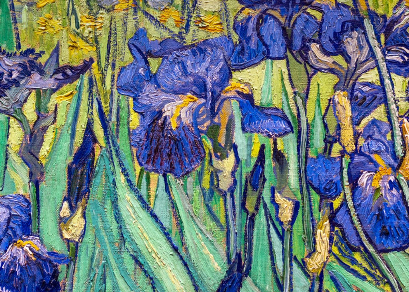 Iris Symbolism - What This Flower Means - SymbolScholar