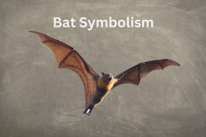 Bat Symbolism & Meaning: What You Need To Know - SymbolScholar