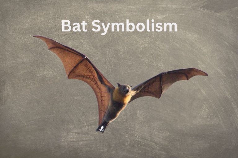 Bat Symbolism & Meaning: What You Need To Know - SymbolScholar