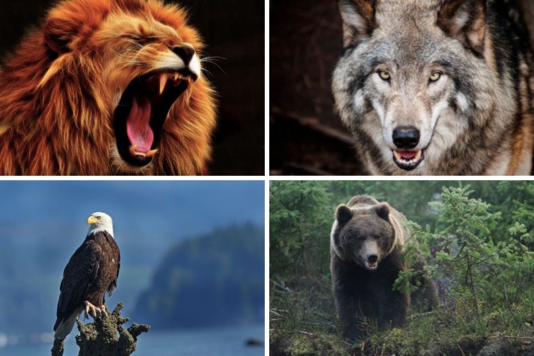 Meaningful Courage Symbols - SymbolScholar