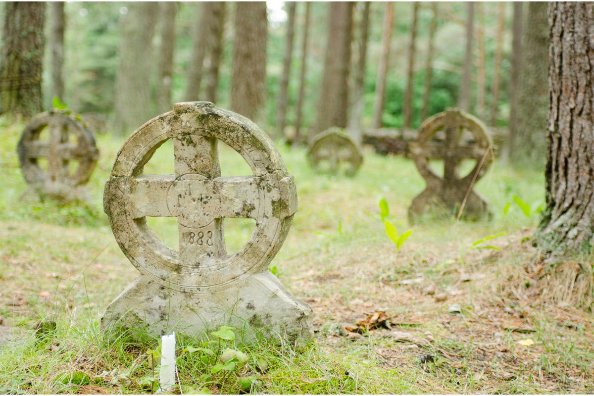 The Deep Spiritual Meaning Behind The Solar Cross - SymbolScholar