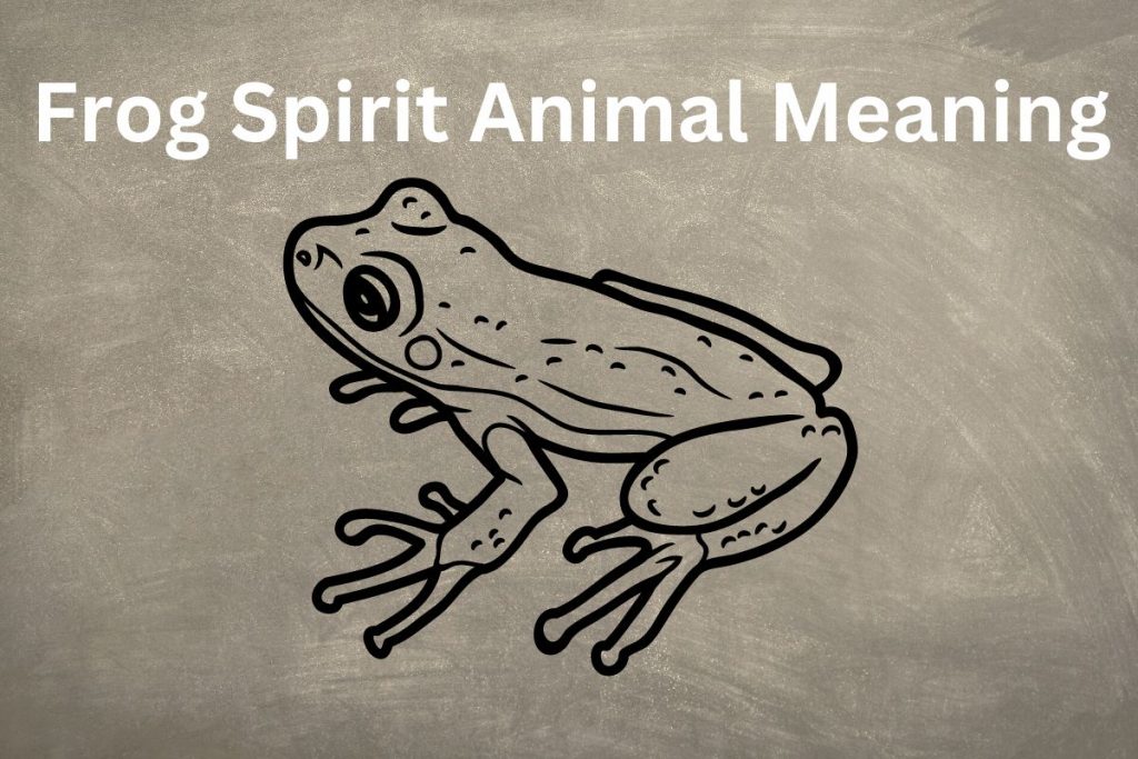 Frog Spirit Animal Meaning - SymbolScholar