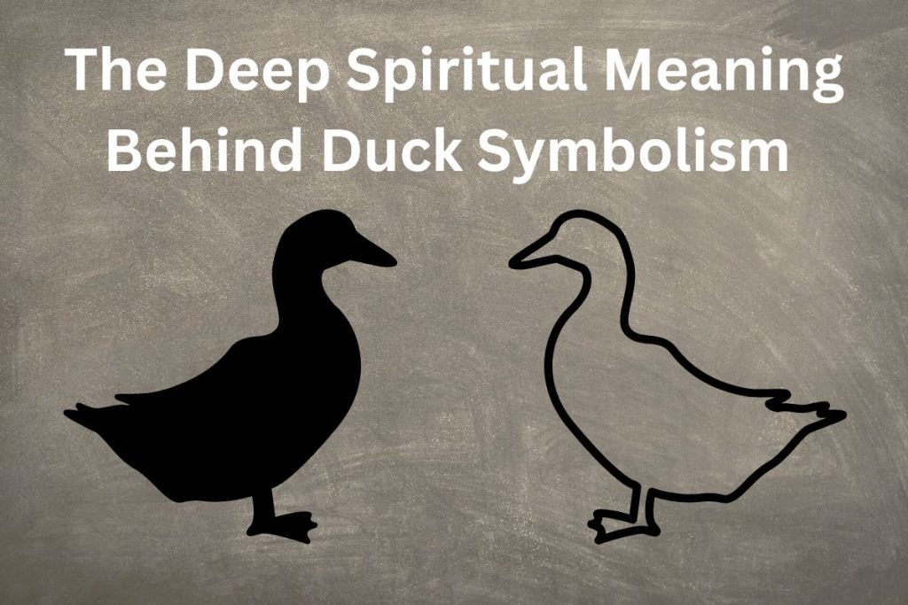The Deep Spiritual Meaning Behind Duck Symbolism - SymbolScholar