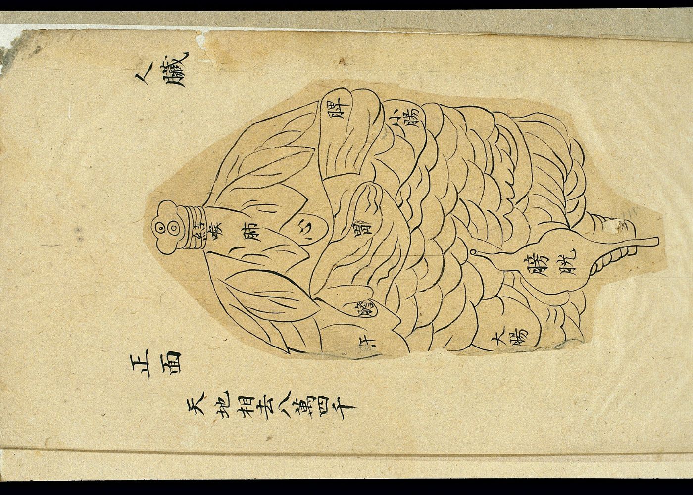 Important Taoist Symbols - SymbolScholar