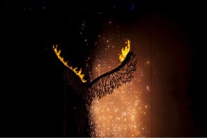 Meaningful Rebirth Symbols And Signs Of Renewal