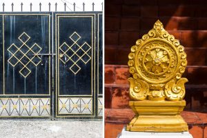 Meaningful Rebirth Symbols And Signs Of Renewal