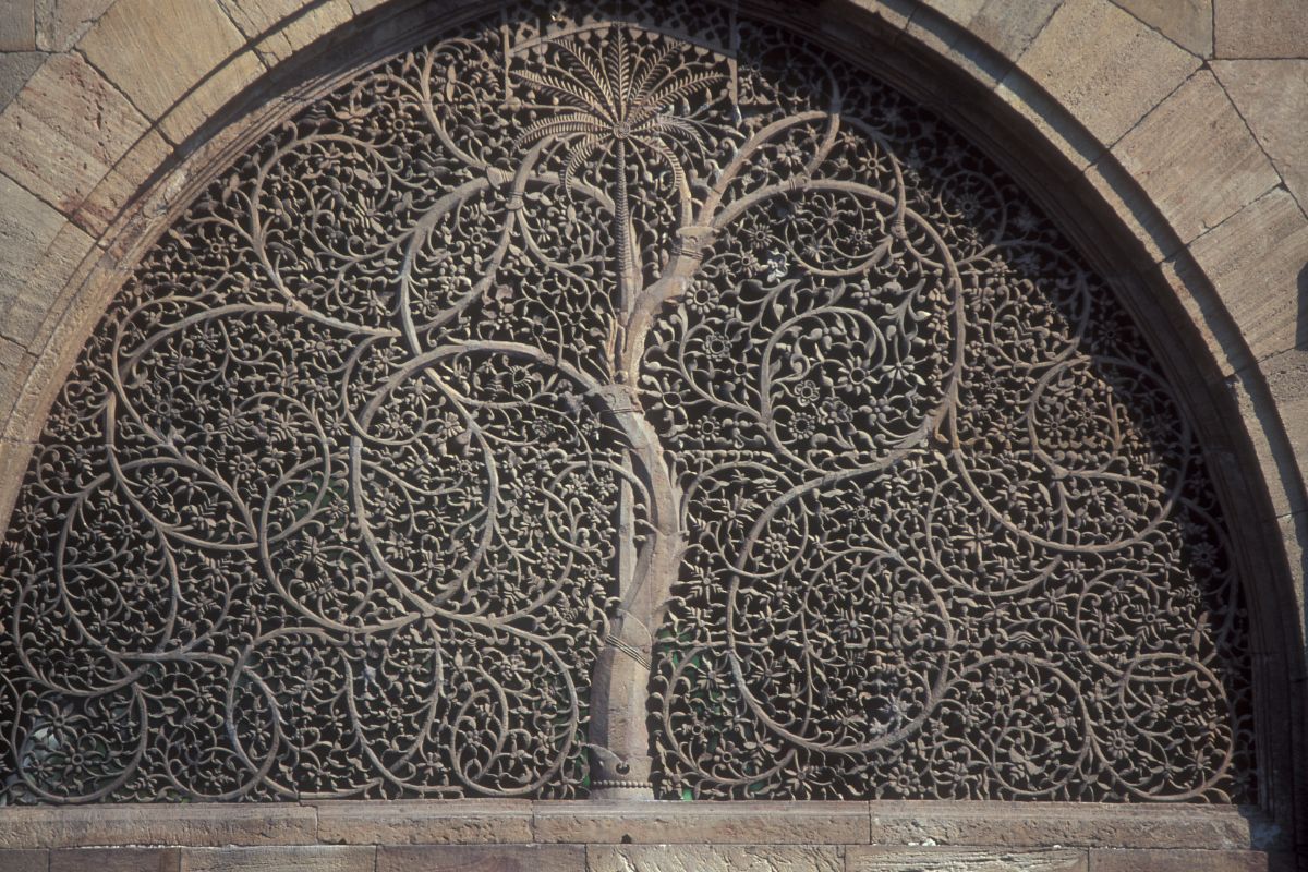 Meaningful Rebirth Symbols And Signs Of Renewal