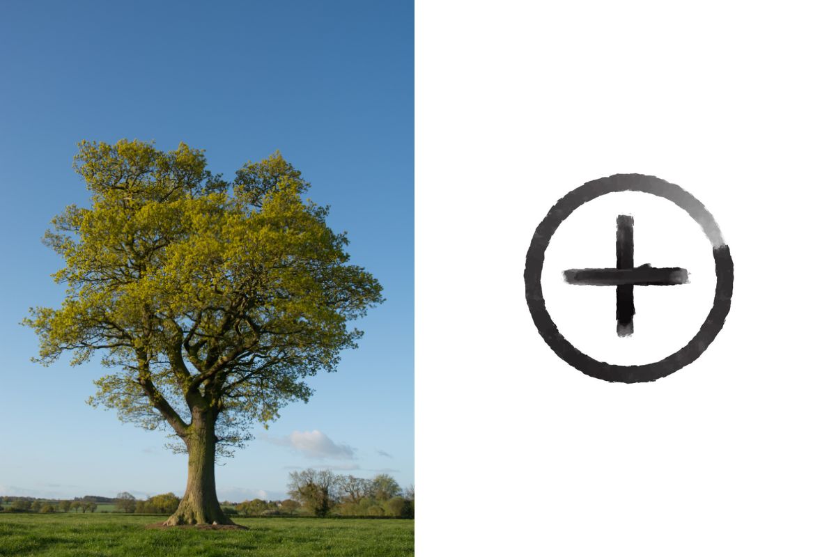 The Classic Celtic Symbol For Strength - SymbolScholar