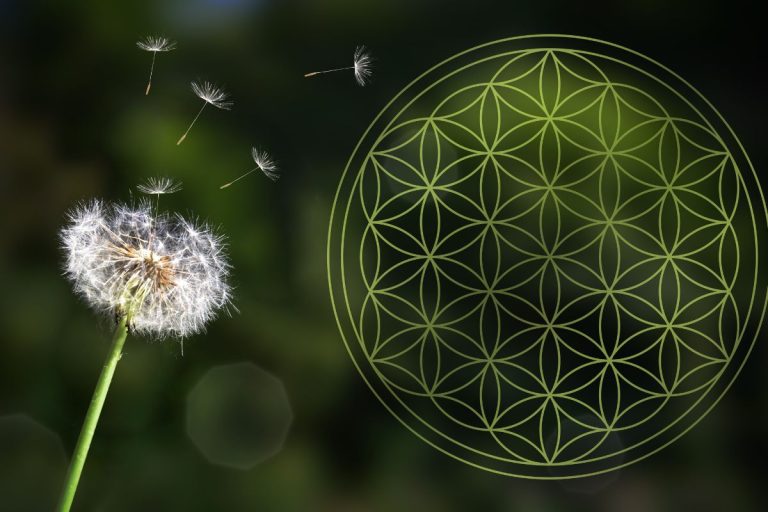 Meaningful Sacred Geometry Symbols - SymbolScholar