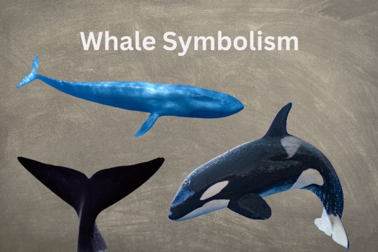 The Vast Meaning Behind Whale Symbolism - SymbolScholar