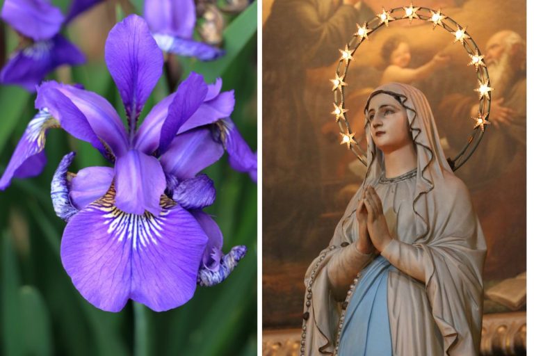 Mother Symbols And Meanings - SymbolScholar