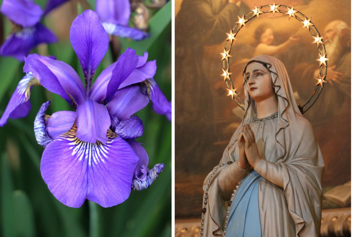 Mother Symbols And Meanings - SymbolScholar