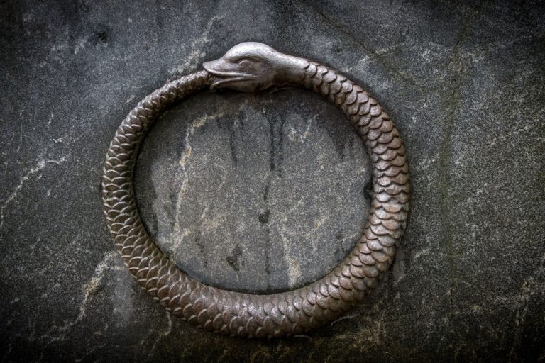 Meaningful Rebirth Symbols And Signs Of Renewal