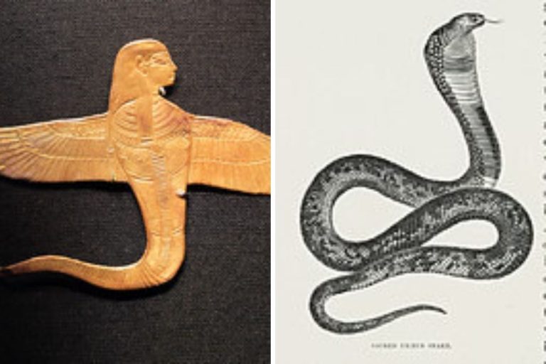 What Is Uraeus In Ancient Egypt? - SymbolScholar