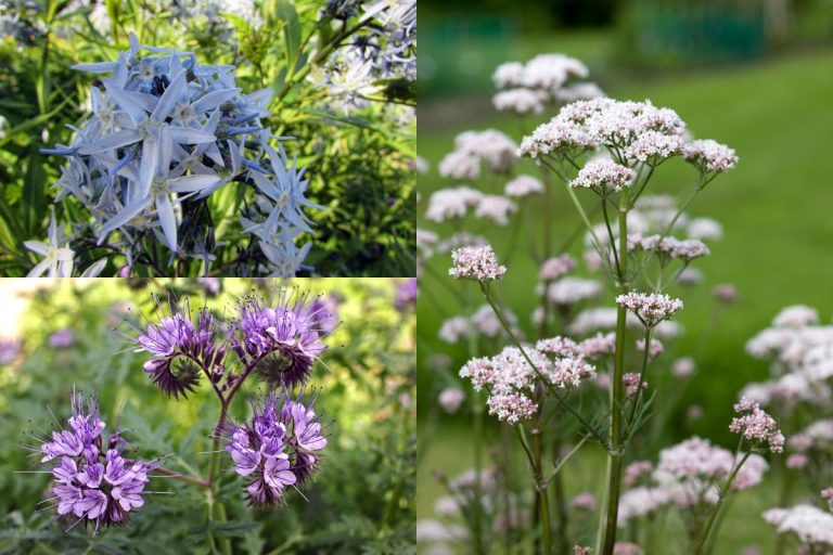 Best Symbol For Determination - SymbolScholar