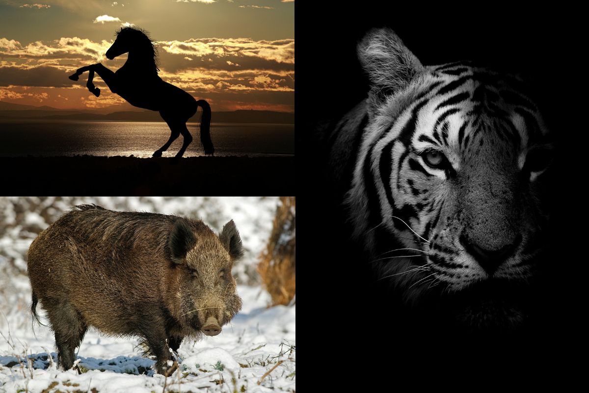 Best Symbol For Determination - SymbolScholar