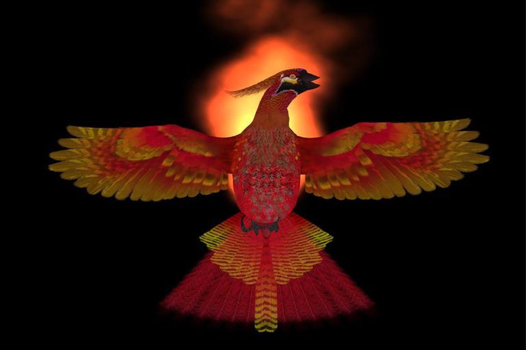 Best Symbol For Determination - SymbolScholar