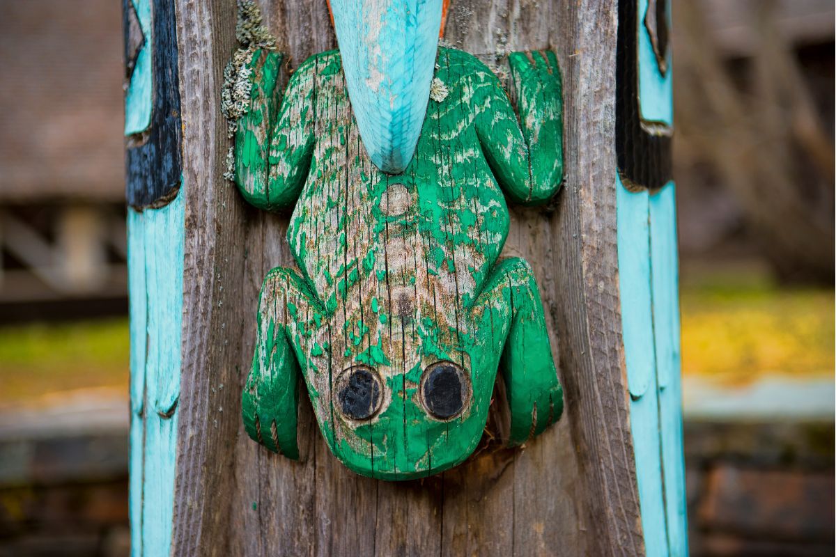 Frog Spirit Animal Meaning - SymbolScholar