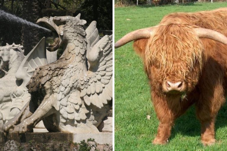 What Is A Perseverance Symbol? - SymbolScholar