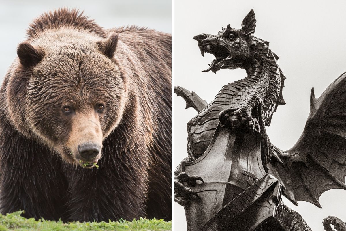 What Is A Perseverance Symbol? - SymbolScholar